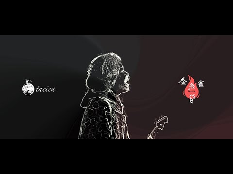 tacica『金糸雀』(Music Video) | Skream! ミュージックビデオ 邦楽ロック・洋楽ロック ポータルサイト