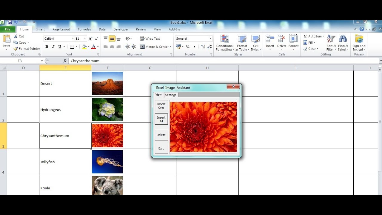Insert Picture In Excel Cell Automatically Excel Image Assistant