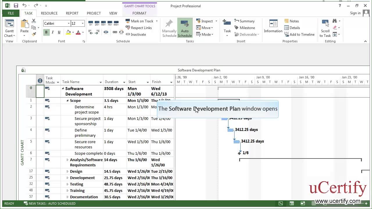 Ms Project 2013 How To Print Notes Demo YouTube
