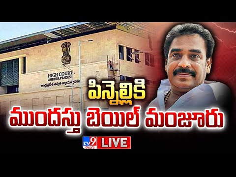 AP High Court grants anticipatory bail to YSRCP Pinnelli Ramakrishna Reddy