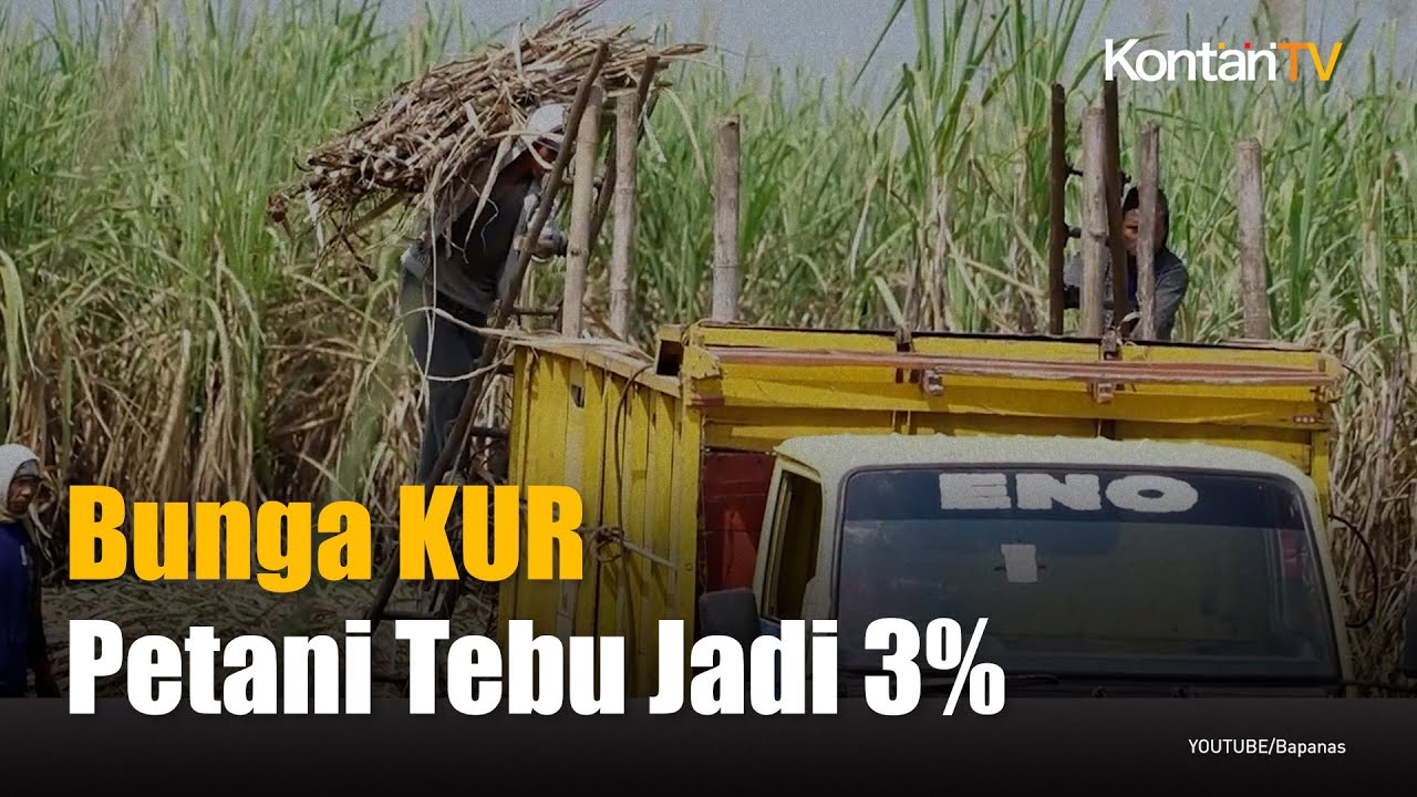 Bunga KUR Petani Tebu Diturunkan Jadi 3%