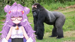 Muyu Ch. むうむゆ【Phase Connect】 | VTuberチャンネル登録者数