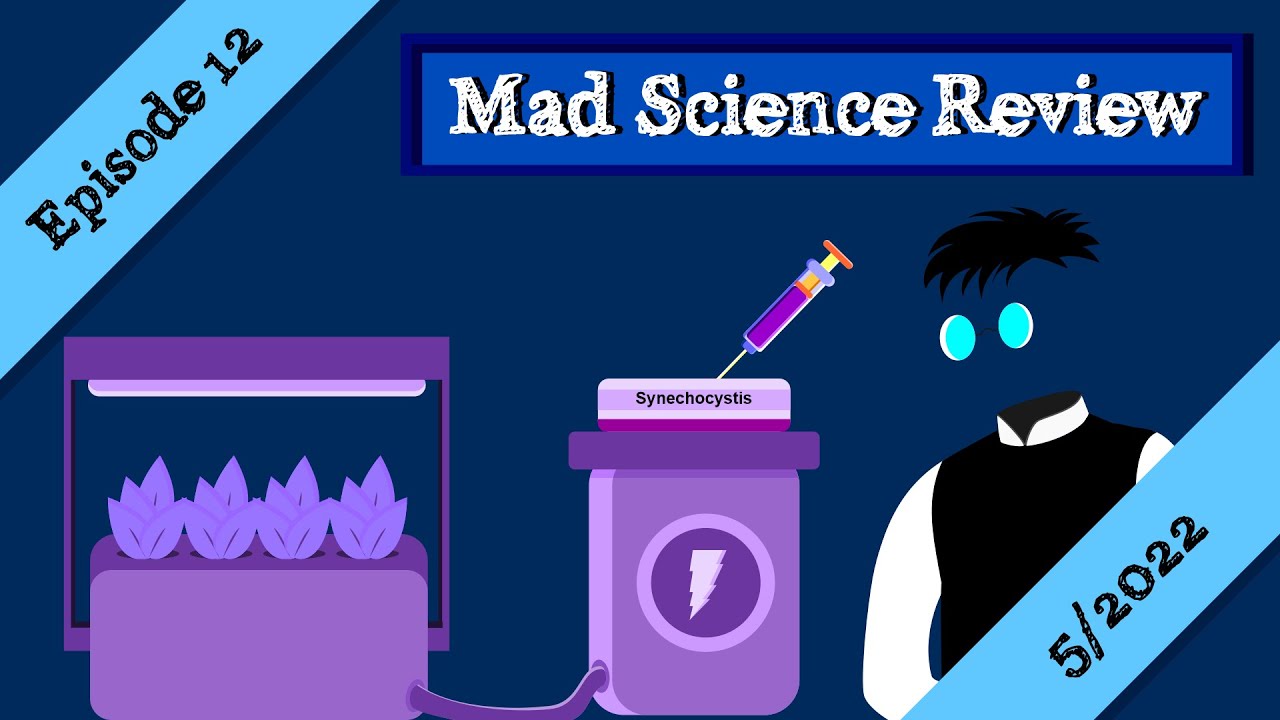 Τα βιντεο του καναλιου | The Mad Scientist