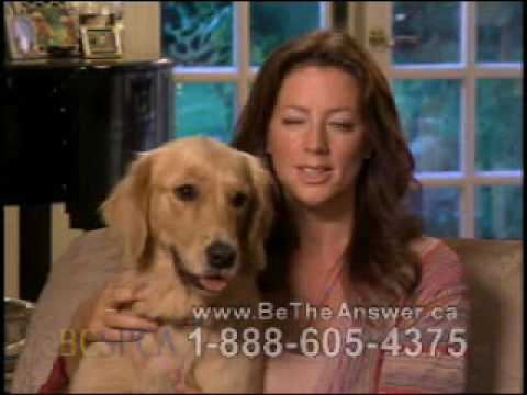 Sarah McLachlan SPCA Commercial - YouTube