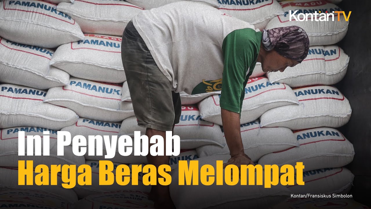 Lonjakan Harga Beras Capai Level Tertinggi dalam 5 Tahun, BPS Beberkan Penyebabnya | Kontan News