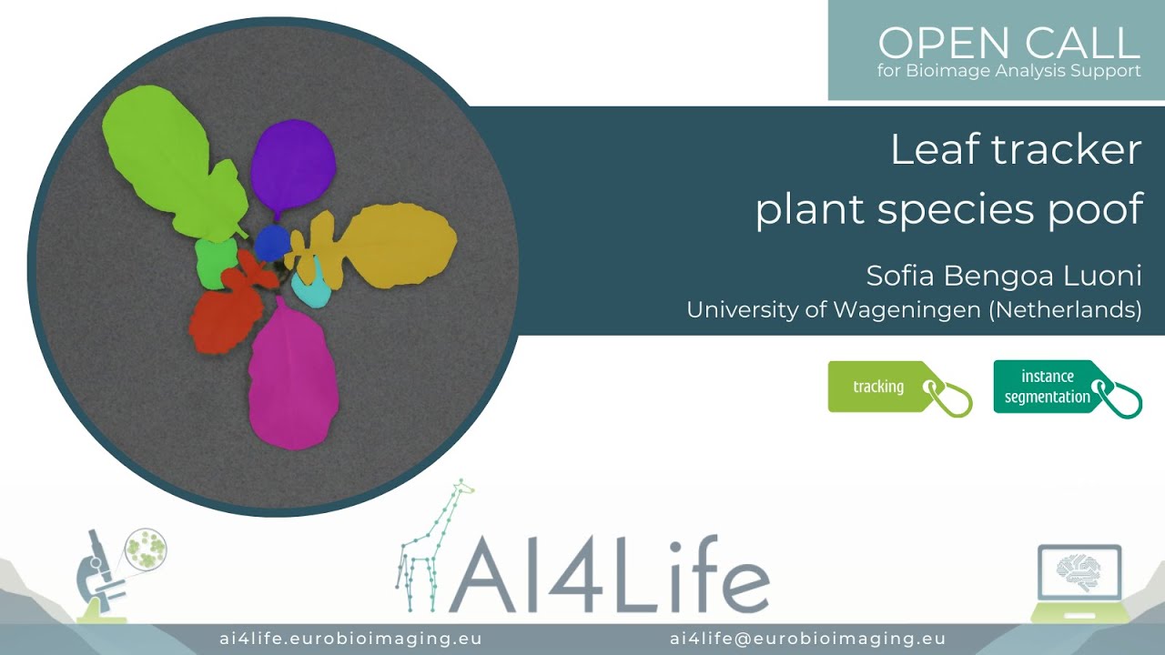 AI4Life – Euro-BioImaging