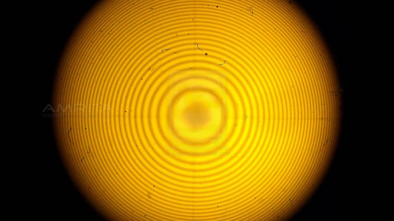 Newton's Rings - Amrita University - YouTube