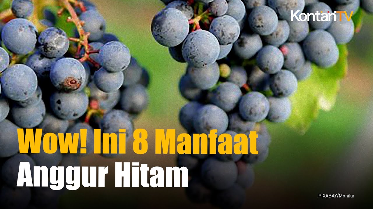 Bikin Panjang Umur! 8 Manfaat Anggur Hitam yang Kaya Antioksidan