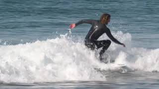 Hogfish – M10 Surfboards