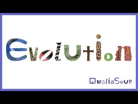 Evolution ( Video ) | Biology | CK-12 Foundation