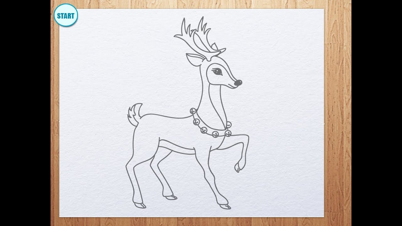 How To Draw Reindeer YouTube