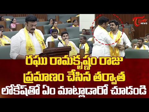 Raghu Ramakrishnam Raju takes oath as MLA