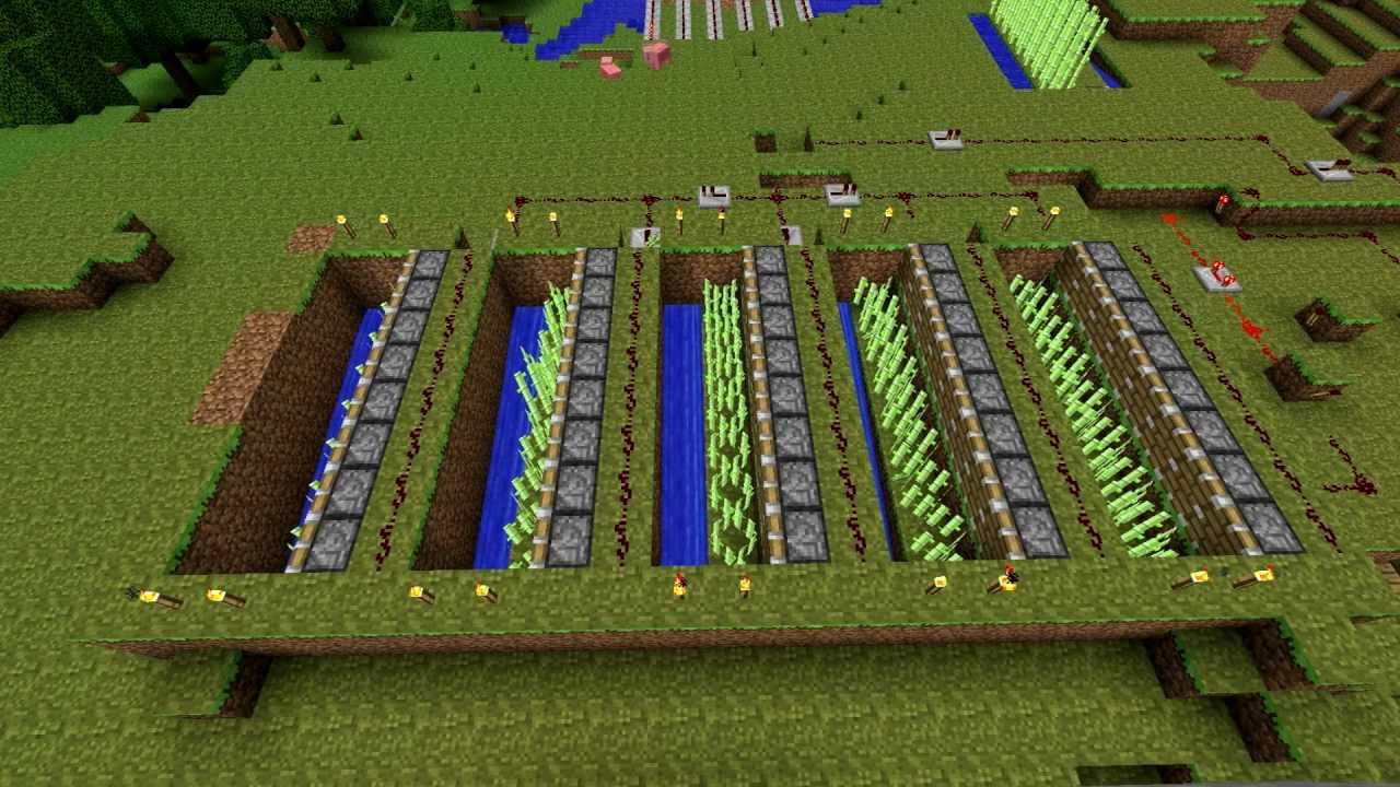 Minecraft Automated Sugar Cane Farm 1 7 Pistons YouTube
