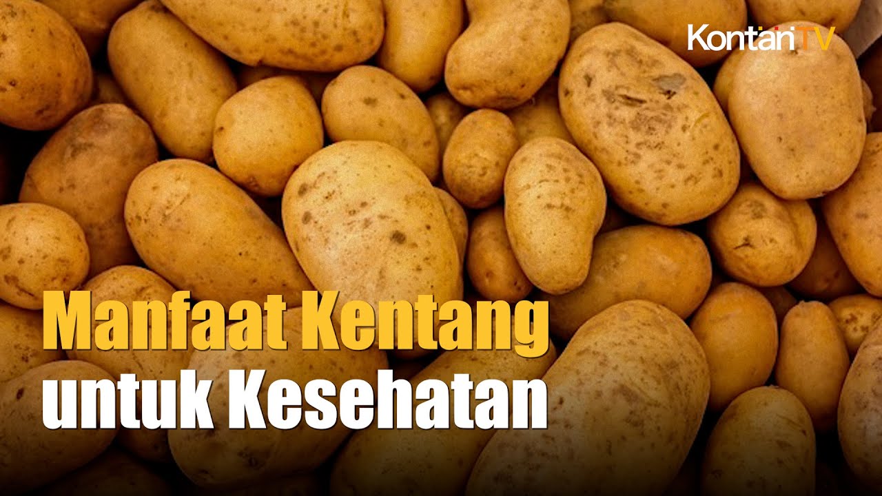 Kaya Nutrisi And Antioksidan Cek Manfaat Kentang