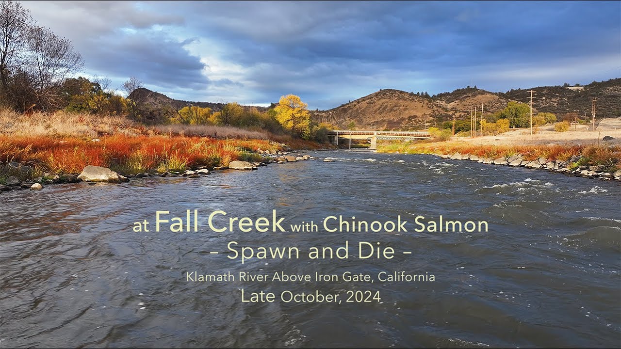 meridian photo home – Joseph Wilhelm Photography