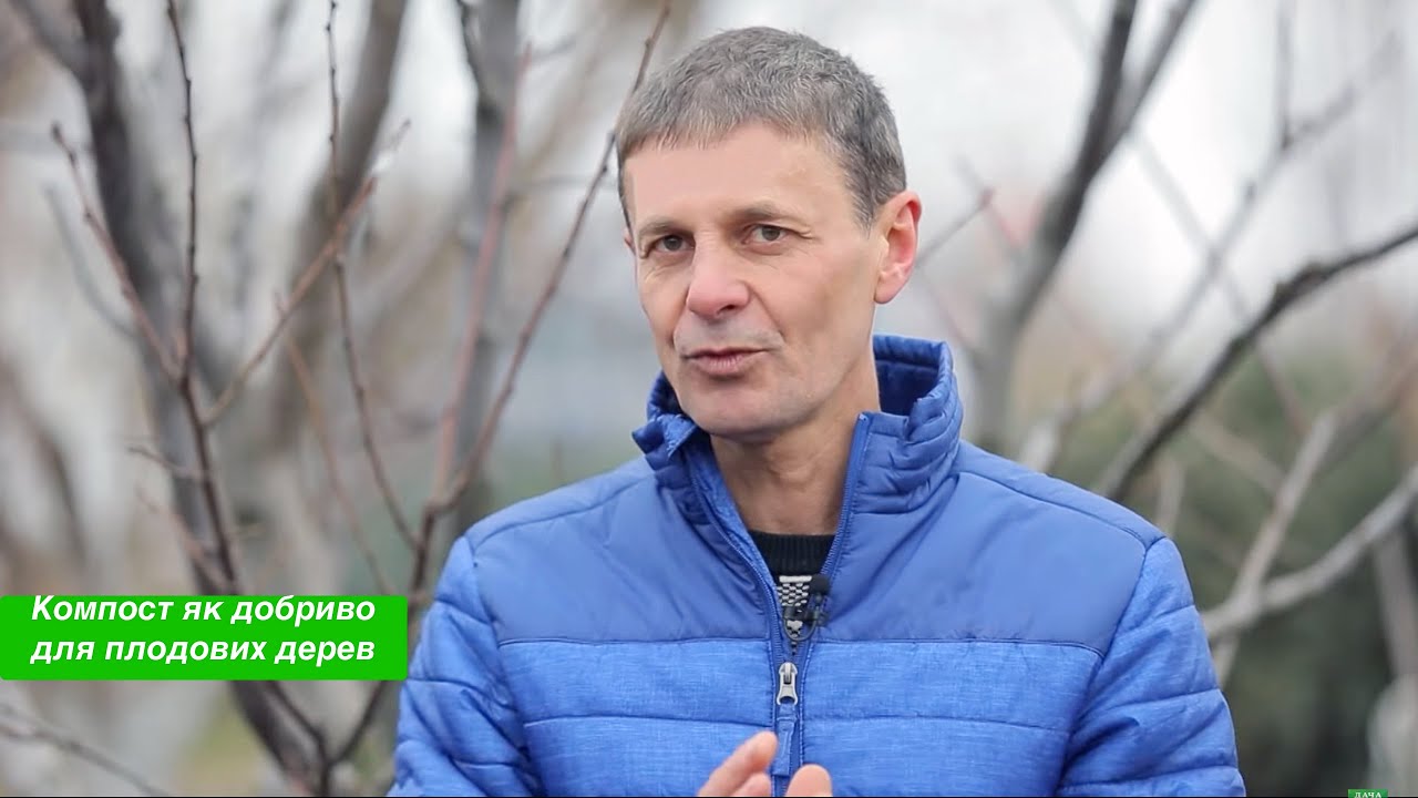 Утренняя Роса · Shoni