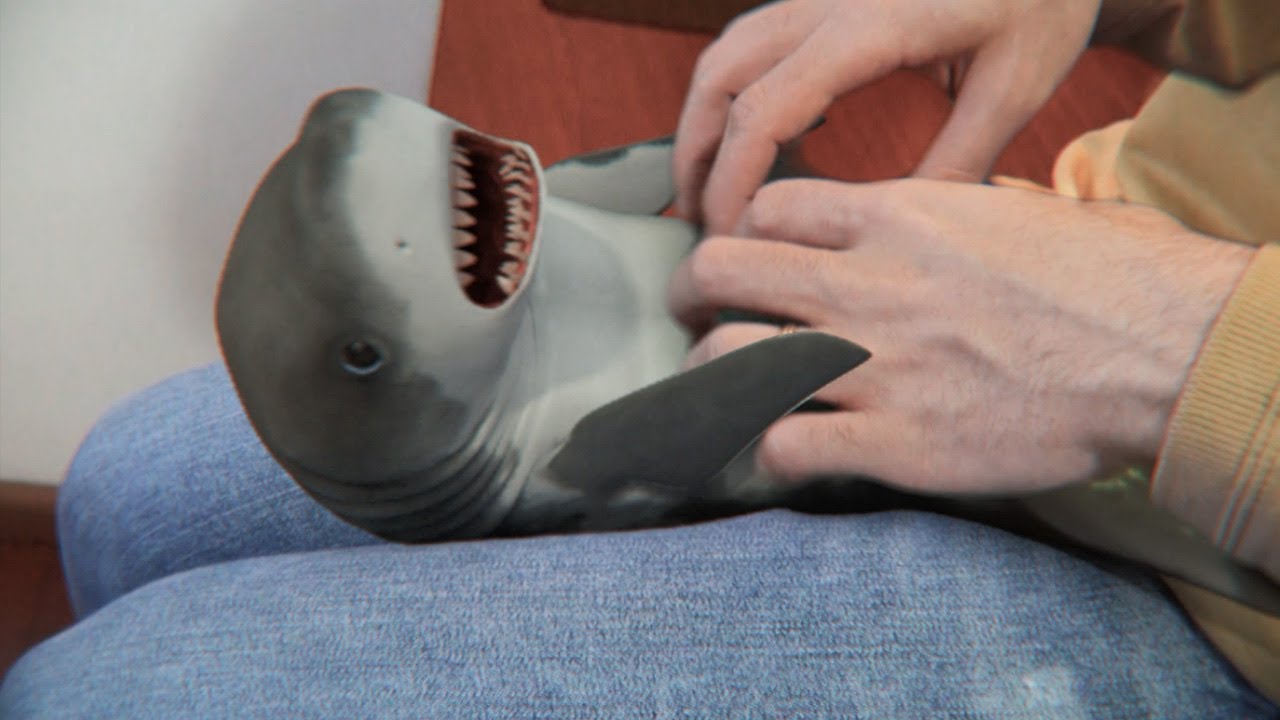 Surprised Baby Shark YouTube