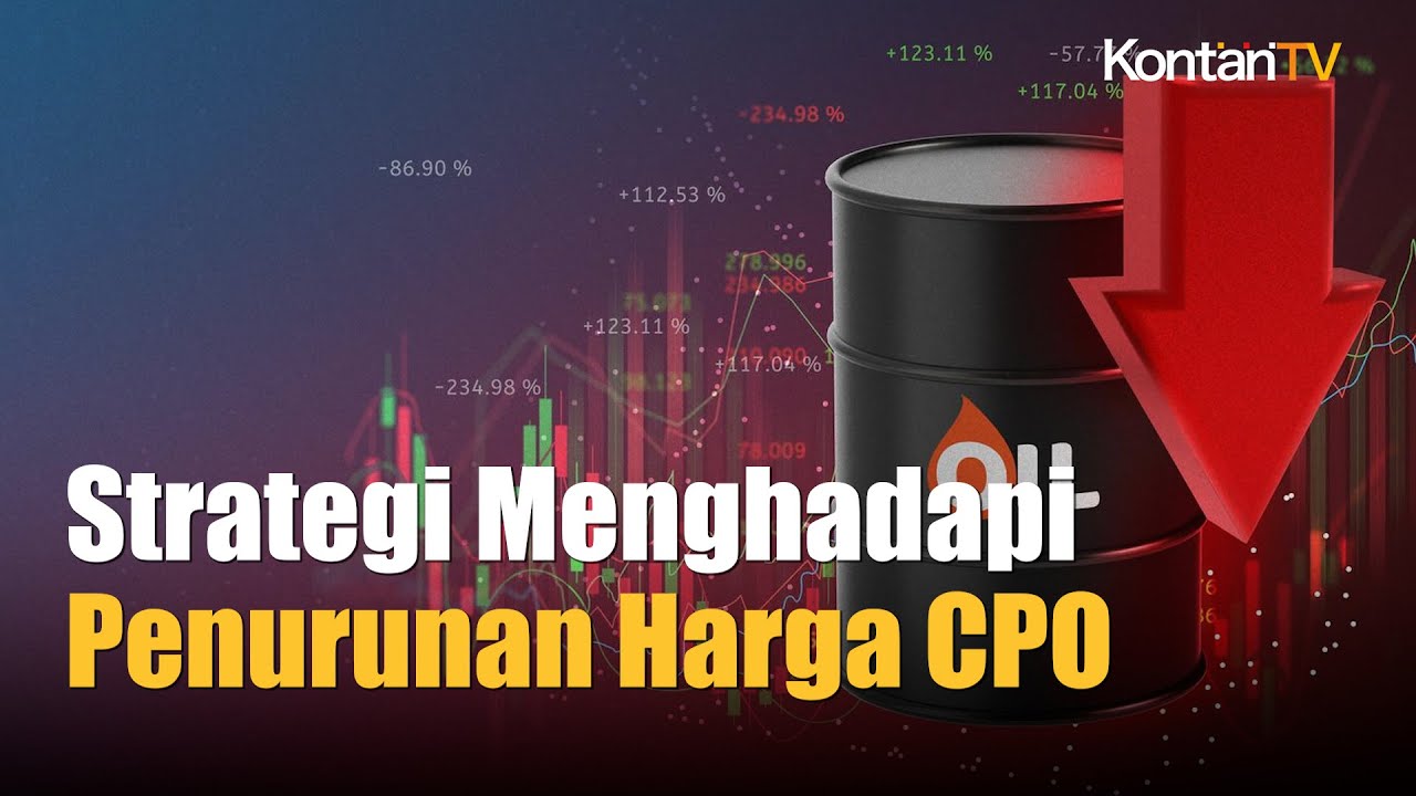 Strategi Perusahaan Kelapa Sawit di Tengah Tekanan Penurunan Harga CPO ...