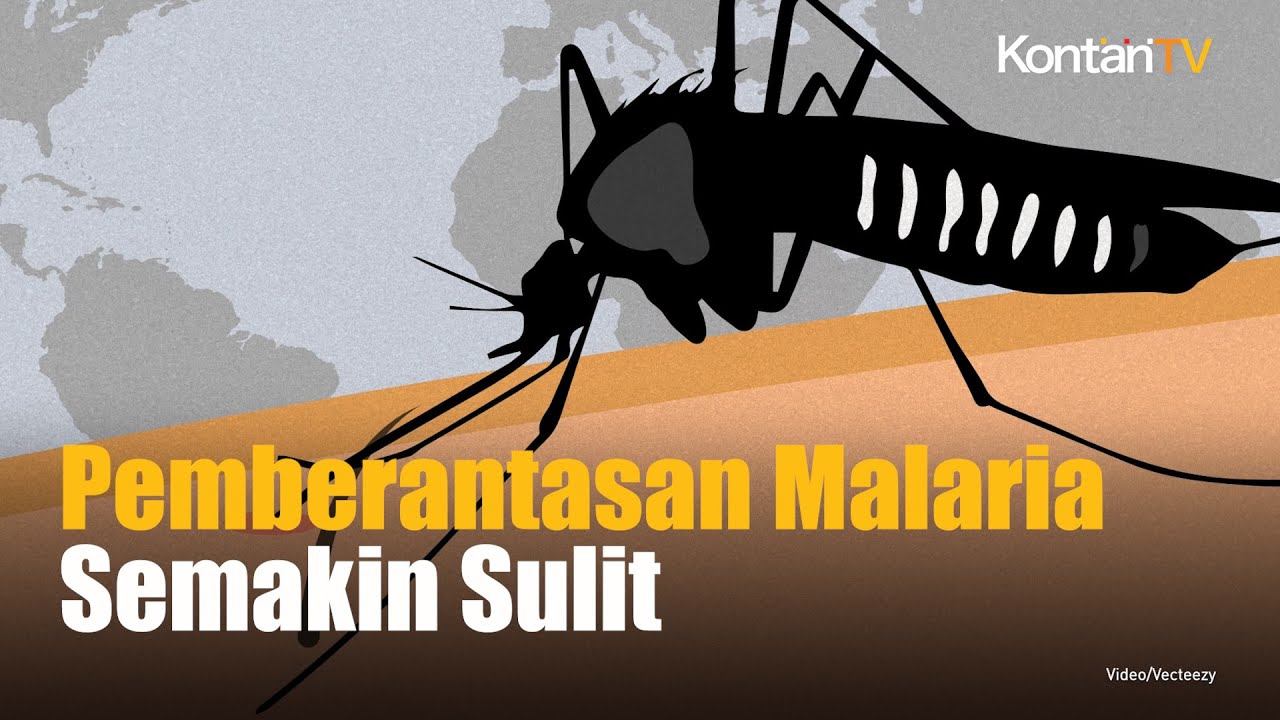 WHO Ingatkan Dunia Bisa Kalah Lawan Malaria | Kontan News