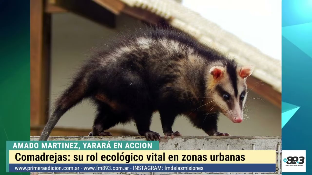 Adam Faith archivos - Primera Edición