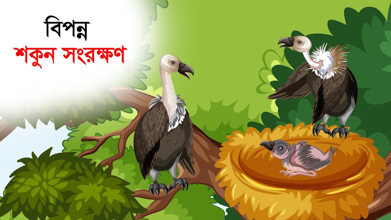 Prokriti O Jibon Foundation – Nature and Life Foundation
