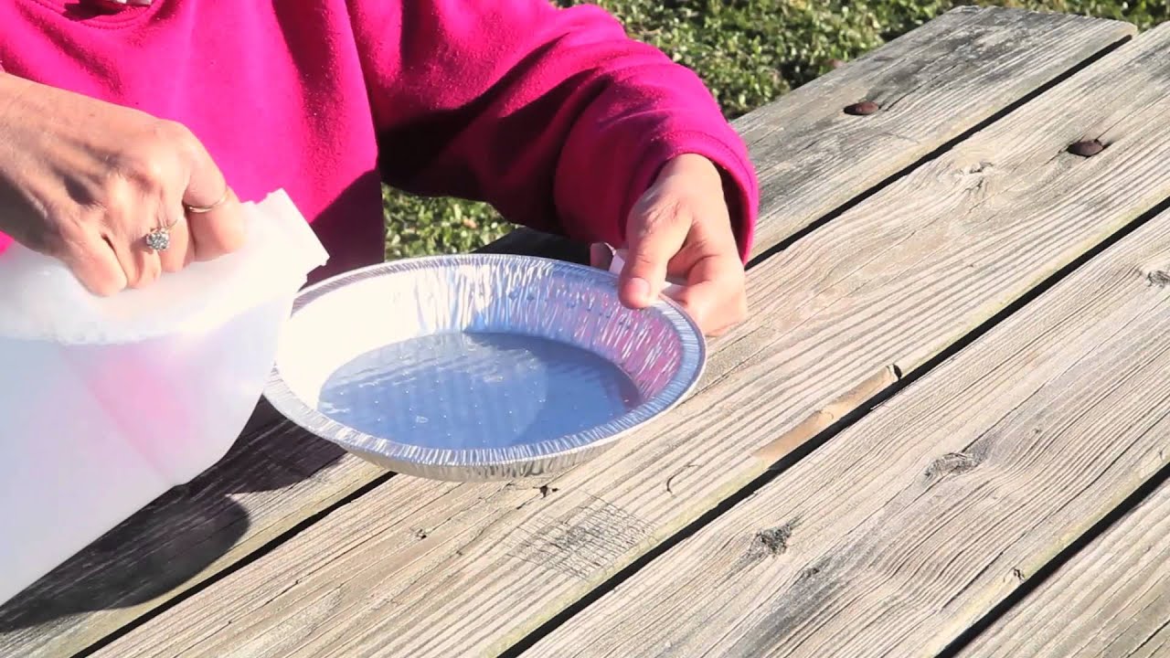 Homemade Garden Groundhog Repellent Great Gardening Advice YouTube