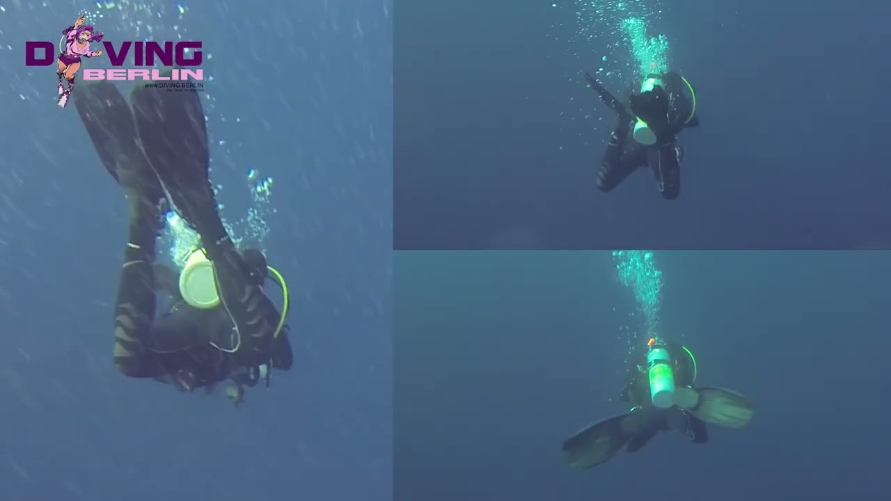 Bilder Galerie – Aktivitäten der Tauchschule Diving.Berlin