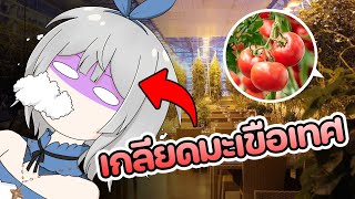 Kamiyu Reirin Ch. Pixela-Isekai | VTuberチャンネル登録者数